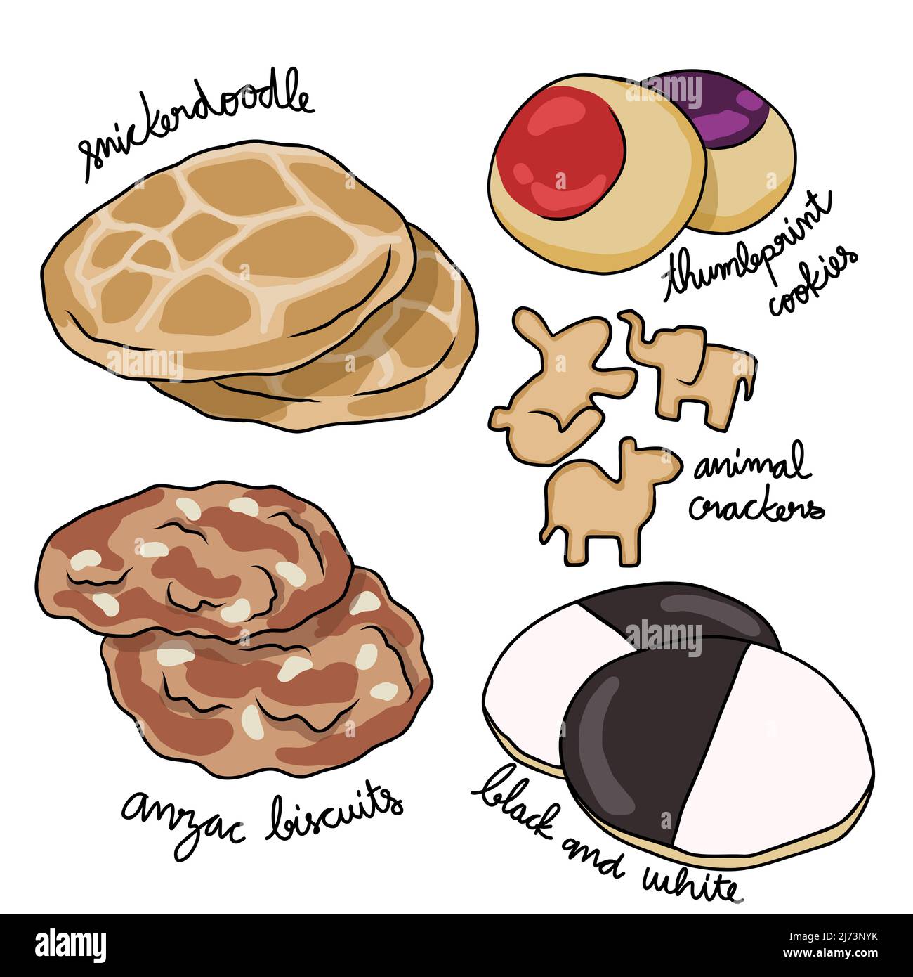 Vanilla cookies sandwich Stock Vector Images - Alamy