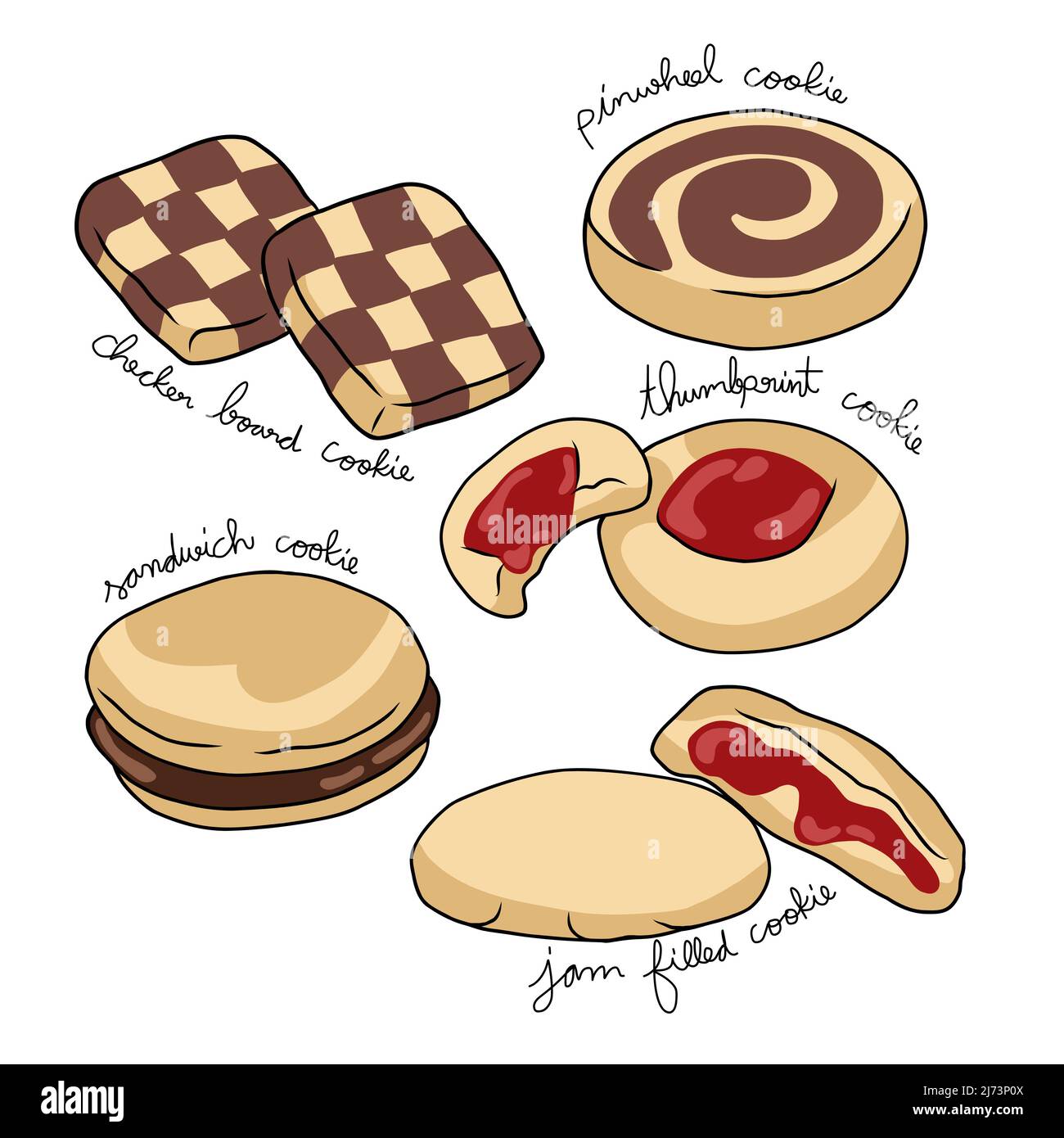 Cookie variety types vector illustration Stock Vector Image & Art - Alamy