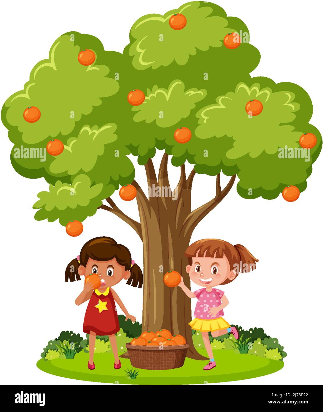 Kids harvesting oranges from tree illustration Stock Vector Image & Art ...