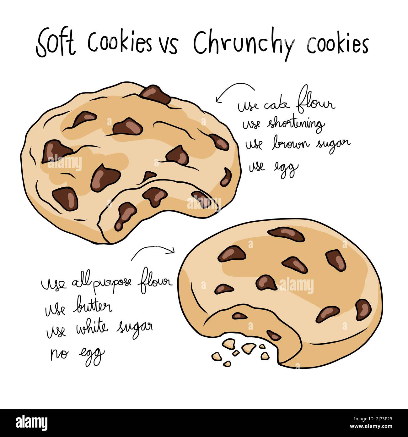 Soft cookie vs crunchy cookie info graphic vector illustration Stock ...