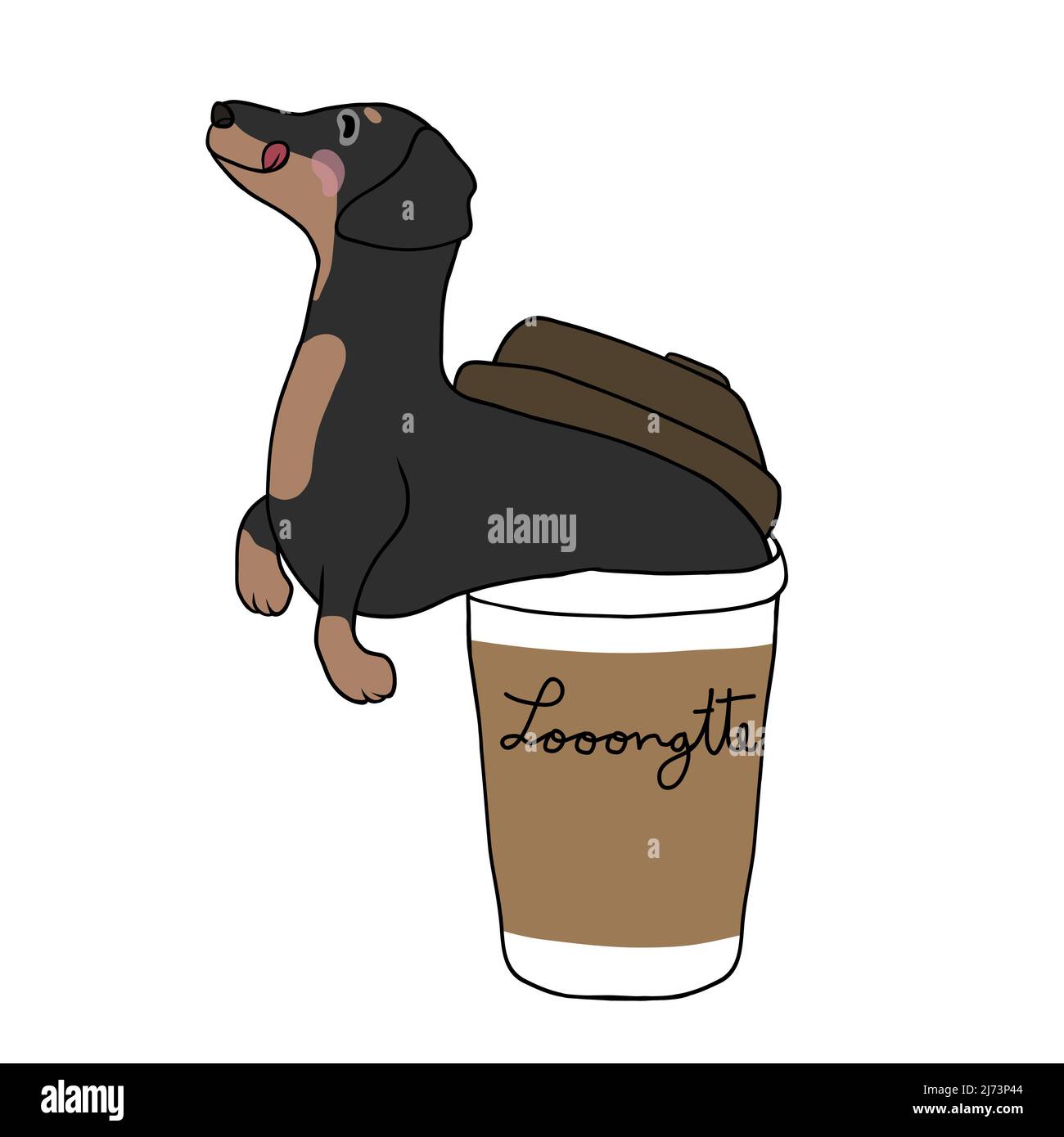 Dachshund dog in coffee cup with Looooongtte word cartoon vector ...