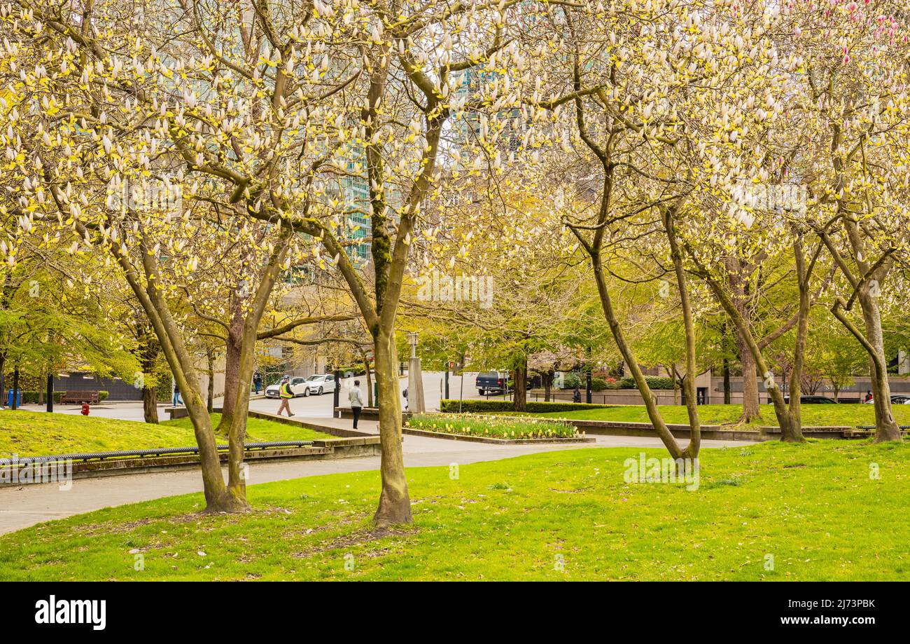 City in the spring hi-res stock photography and images - Alamy