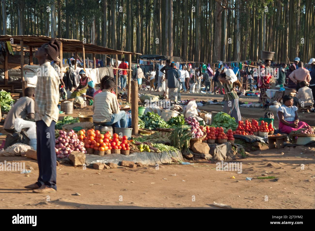 Thyolo Market, Thyolo, Malawi, Africa Stock Photo - Alamy