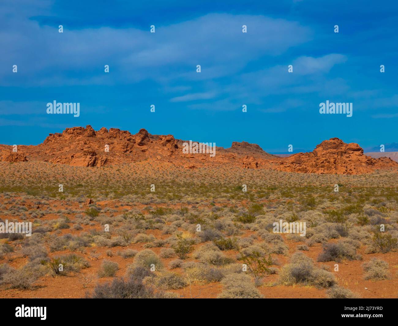 Panorama view of the famous Valley of fire state park. Red sandstone ...