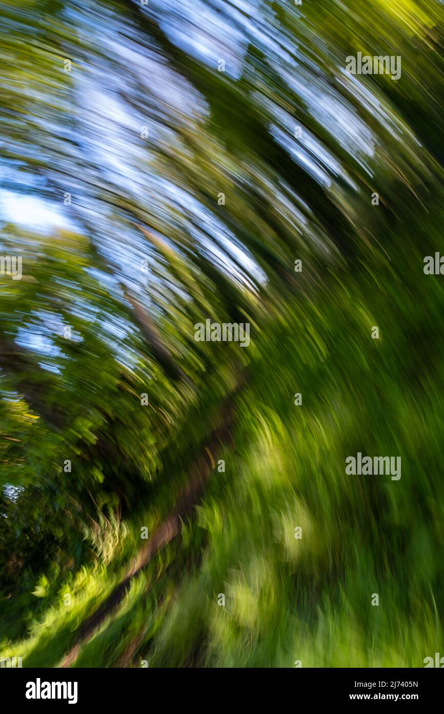 Swirl of trees and grass bank on a sunny morning Stock Photo - Alamy