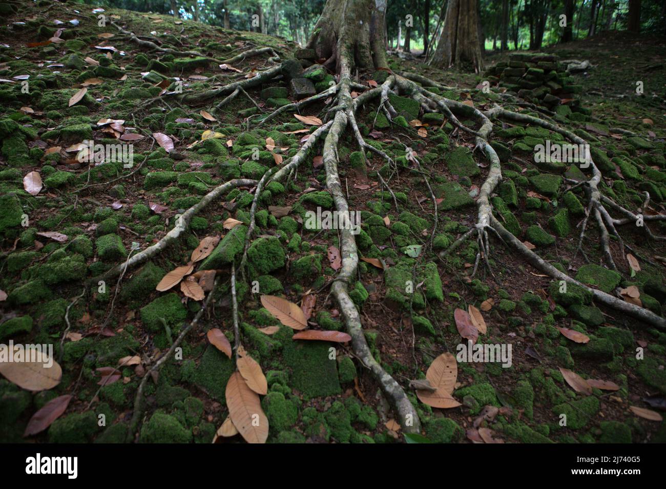 Malay sites hi-res stock photography and images - Alamy
