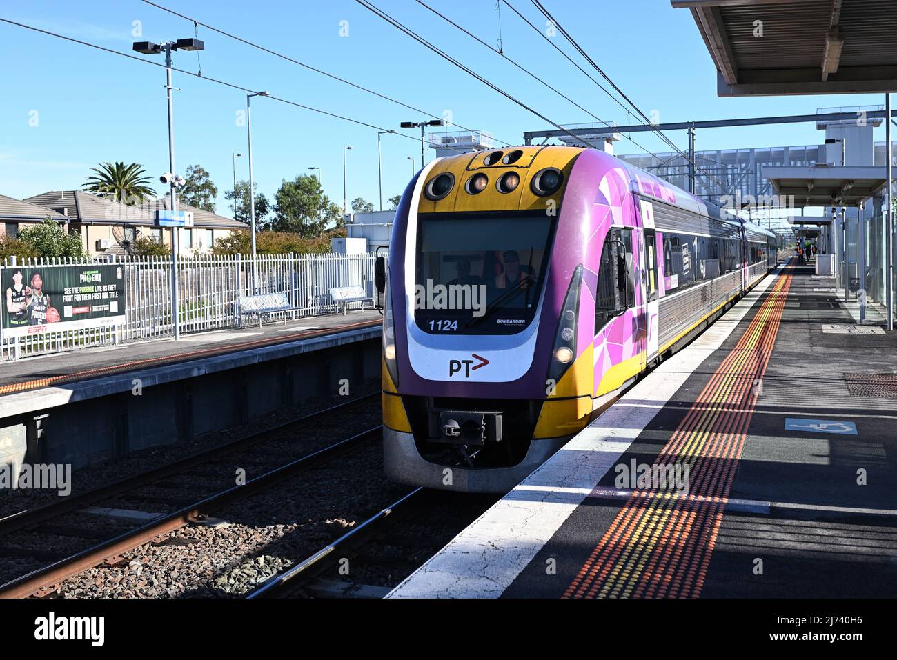 Are Dogs Allowed On Vline Trains