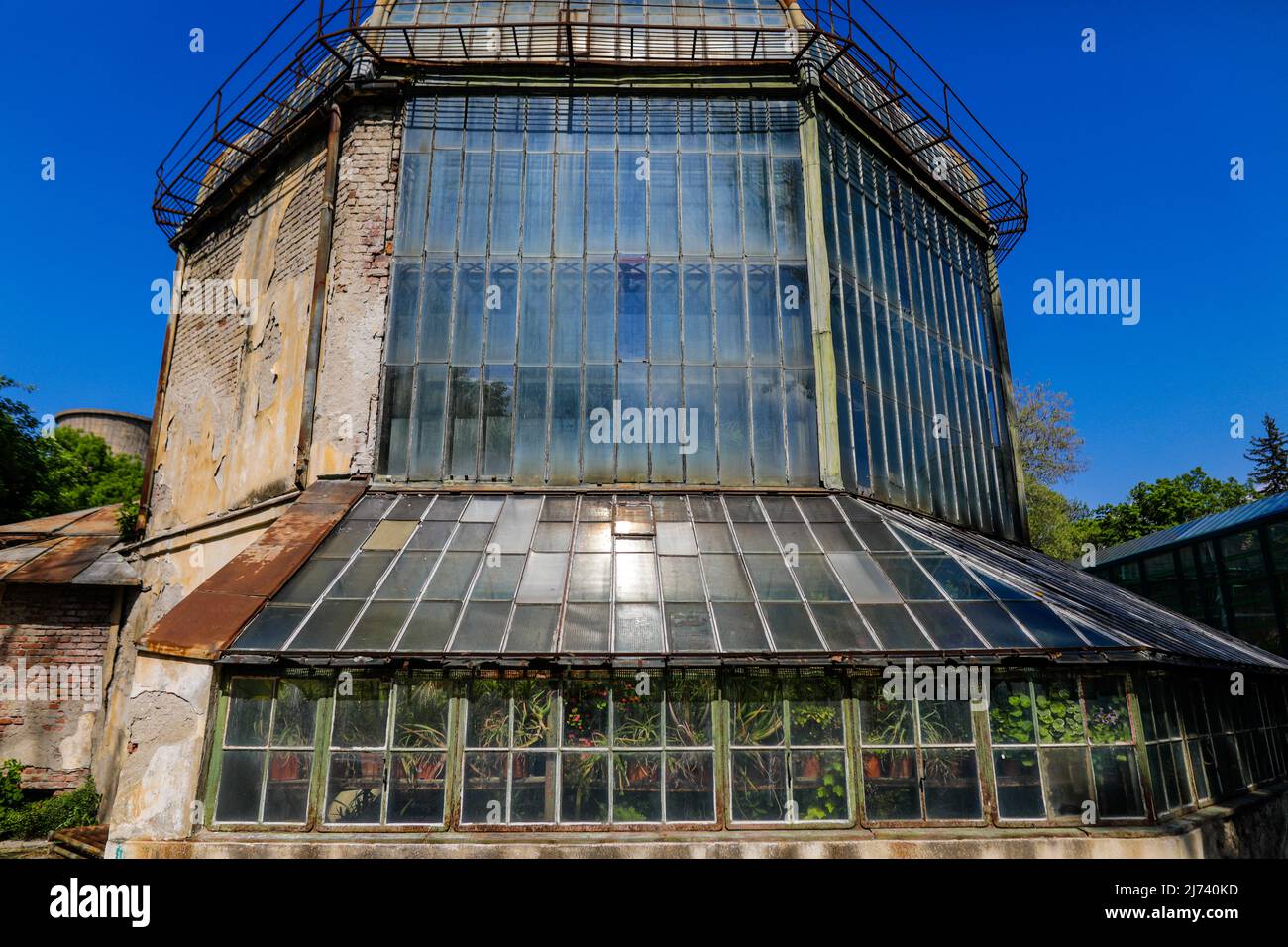 Details with plants inside an old and rusty metallic green house Stock ...