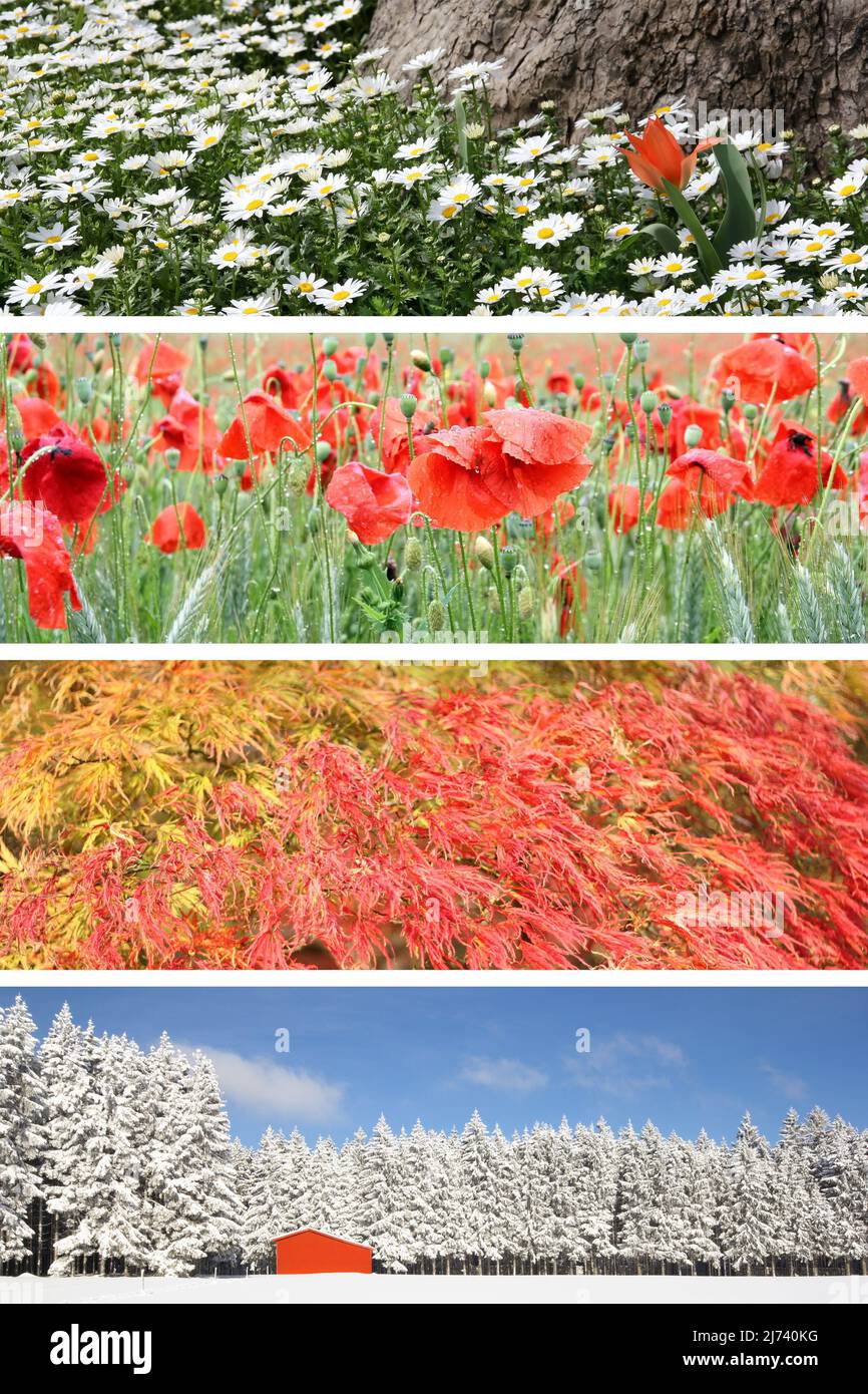 Collage spring summer hi-res stock photography and images - Alamy