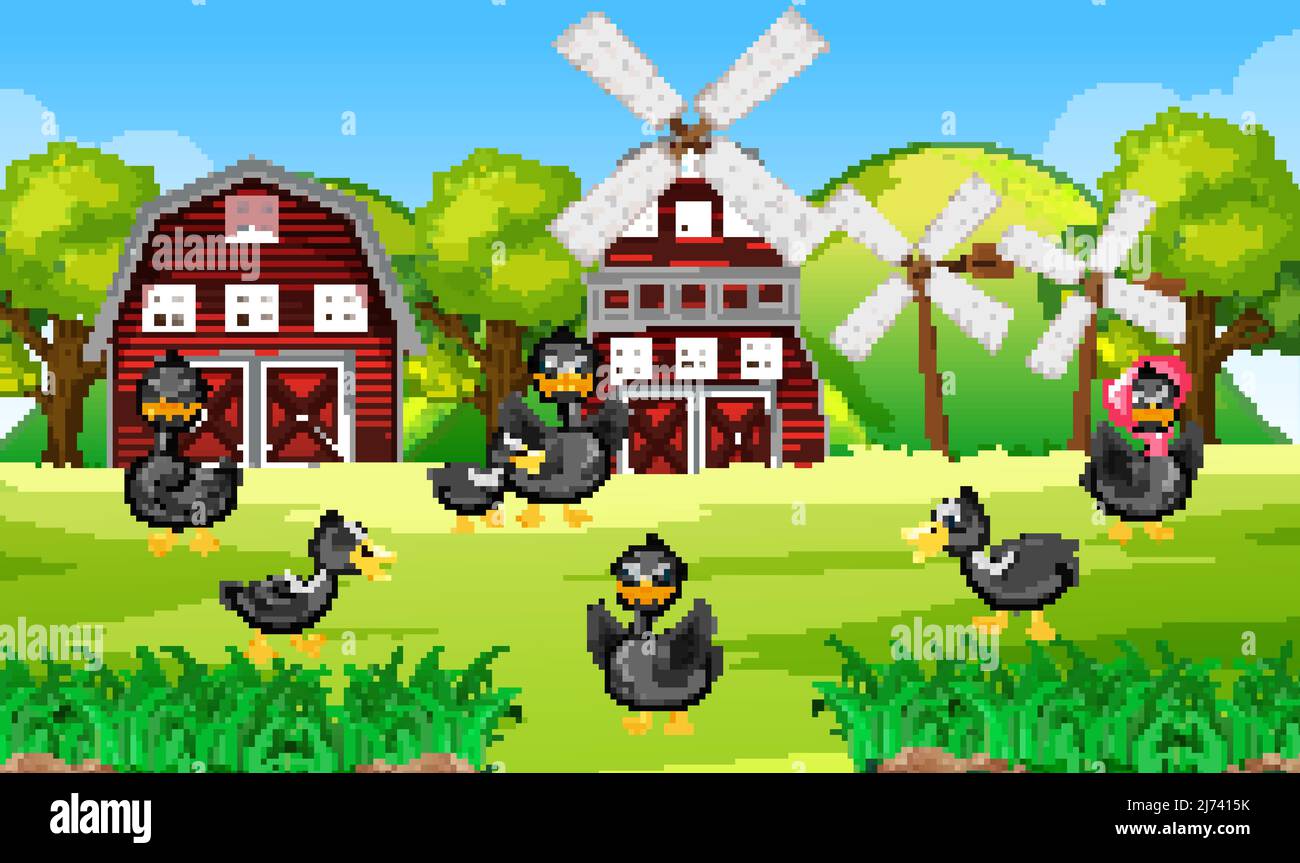 Farm scene with many ducks in the field illustration Stock Vector Image ...