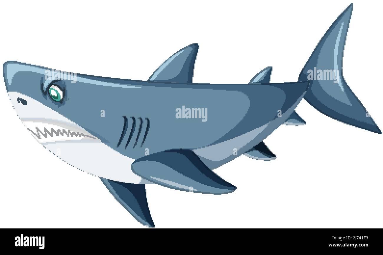 Aggressive great white shark cartoon illustration Stock Vector Image ...