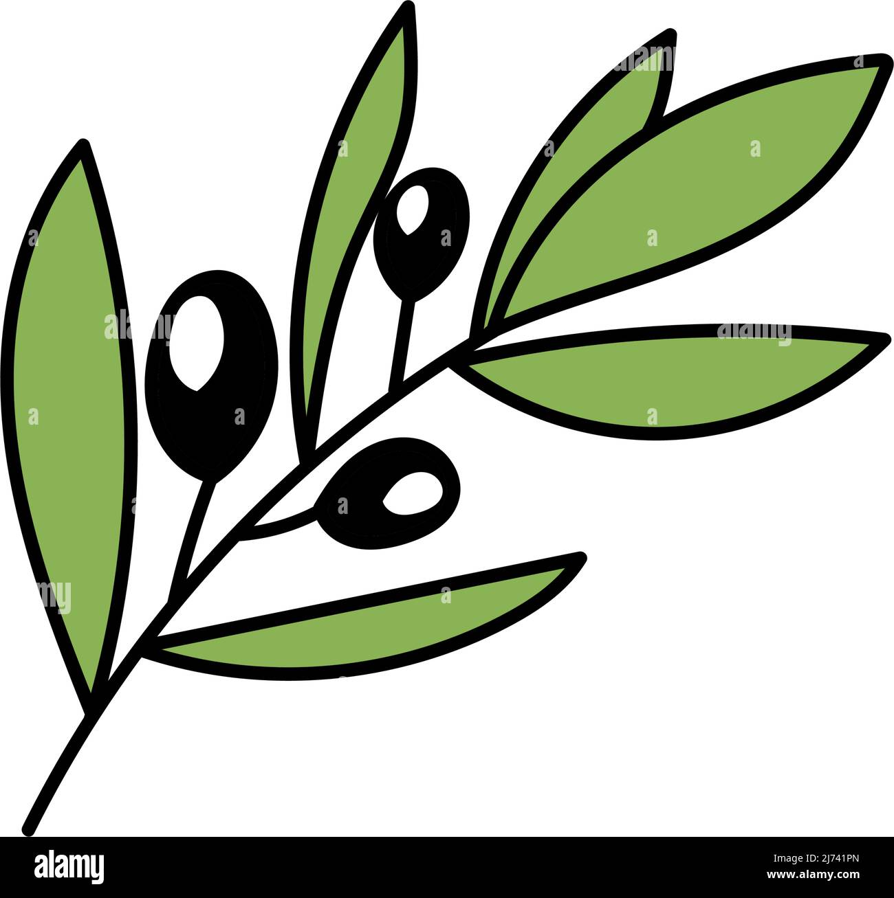 Olive Sprig. Vector hand-drawn olive, isolated on white background. A ...
