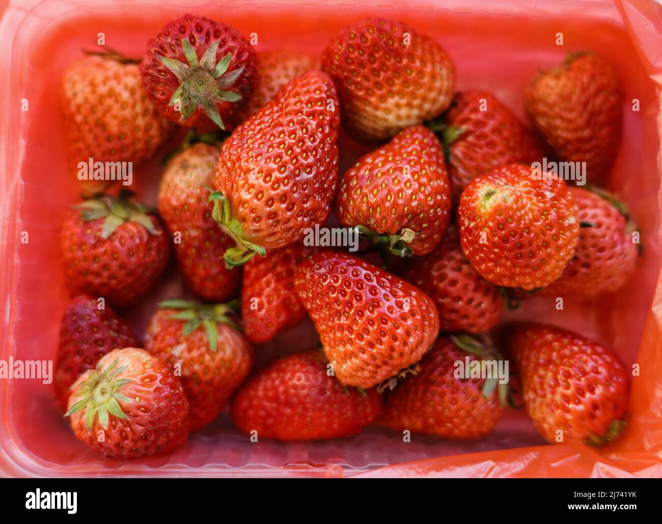 Natural looking fresh red strawberry in package Stock Photo - Alamy