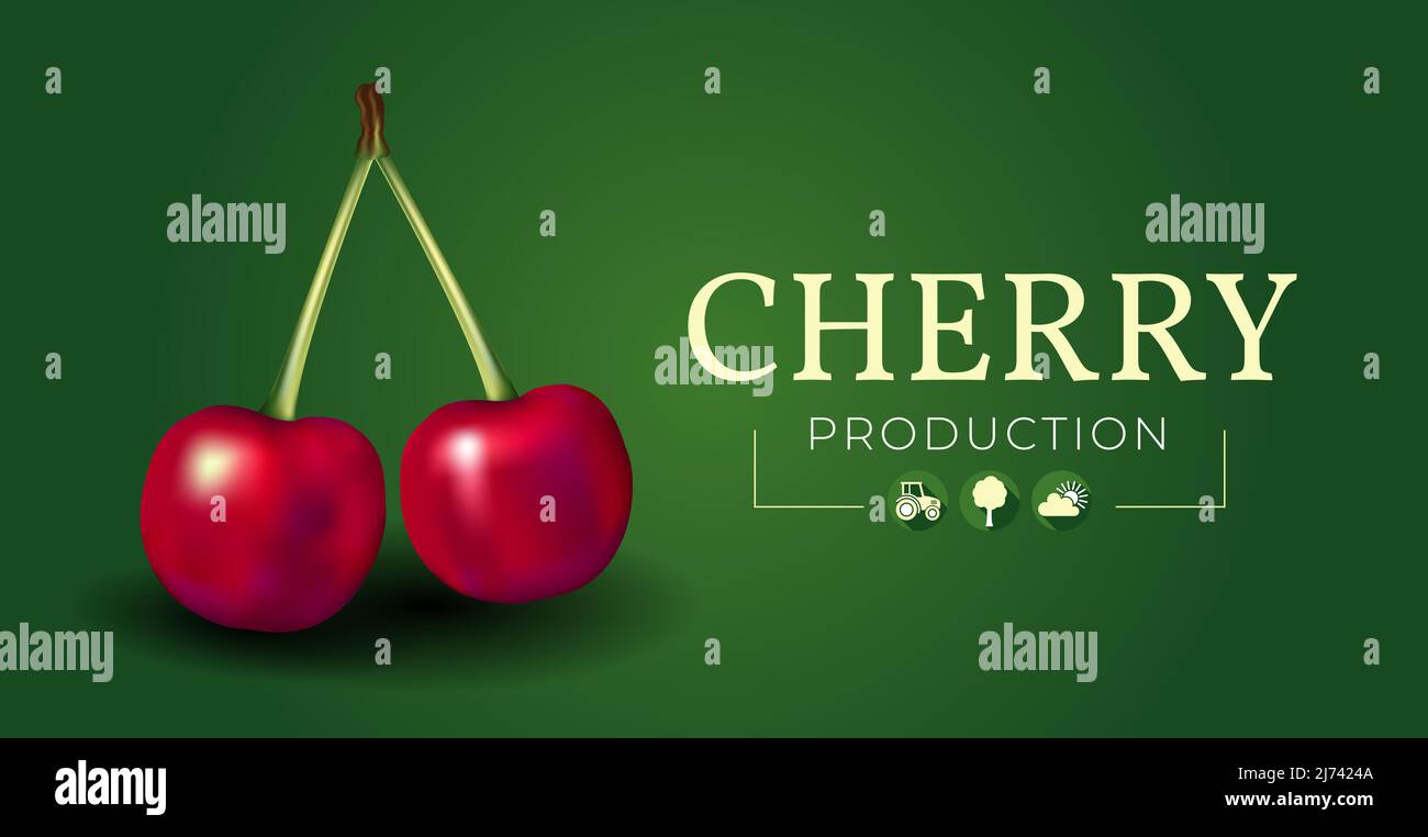 Cherry Production Banner Background Design Stock Vector Image & Art - Alamy