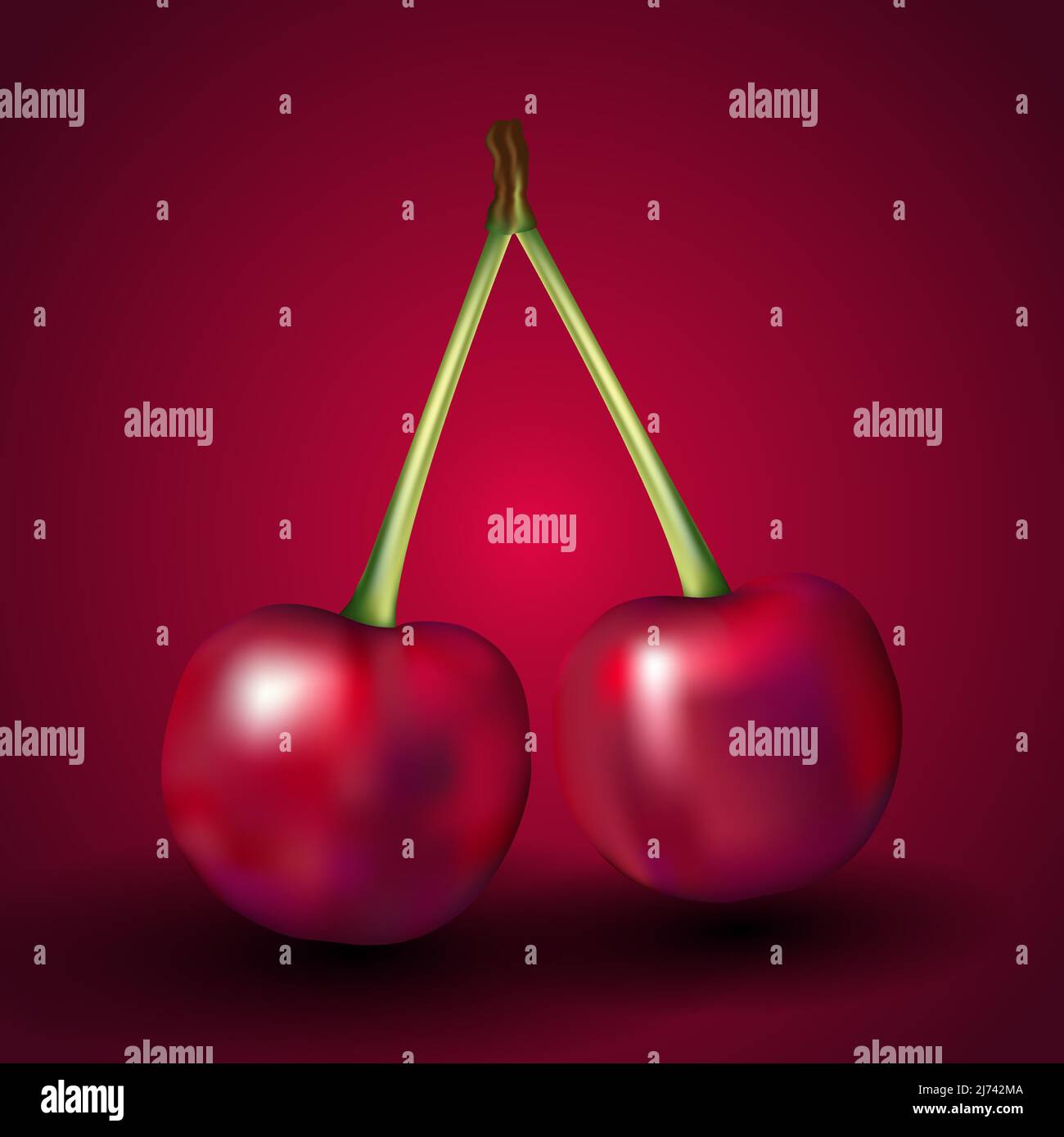 Red Realistic Cherry Illustration Vector Stock Vector Image & Art - Alamy