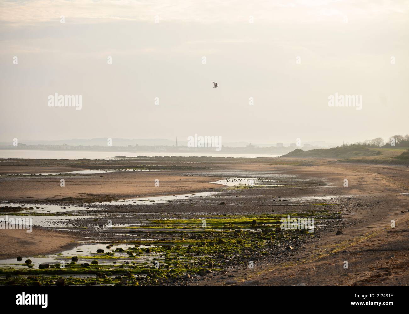 Tara holiday hi-res stock photography and images - Alamy