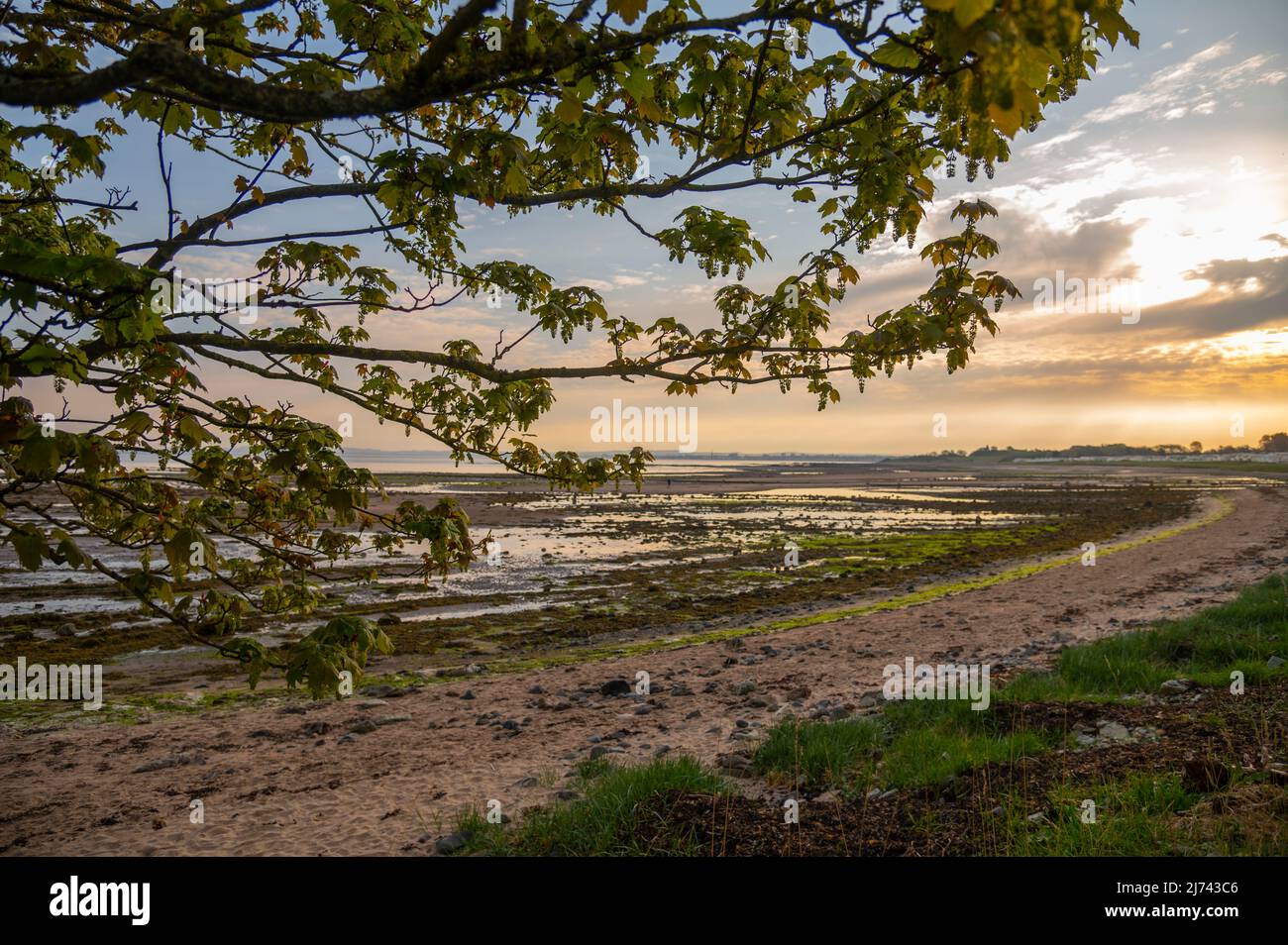 Tara beach hi-res stock photography and images - Alamy