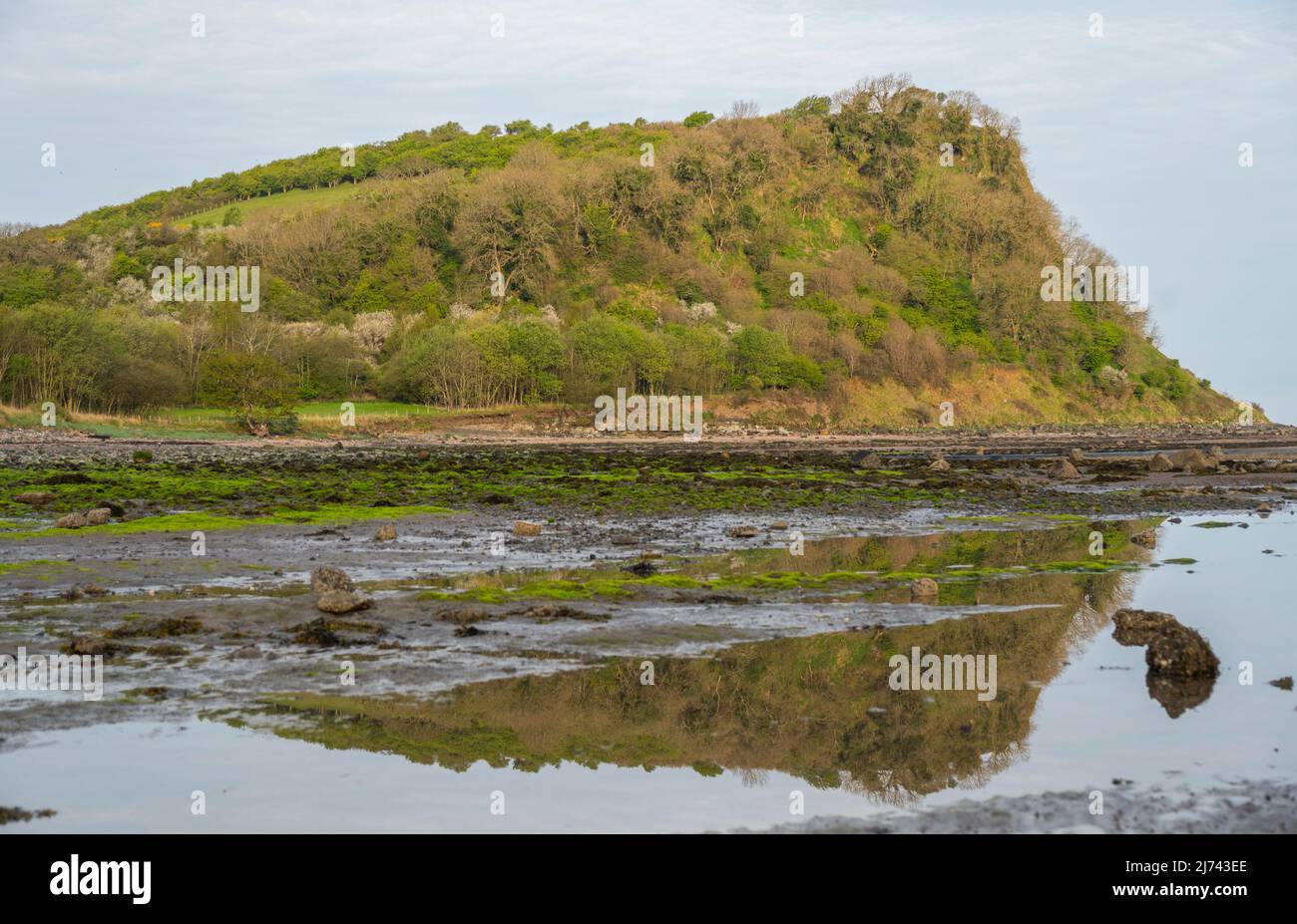 Tara holiday hi-res stock photography and images - Alamy