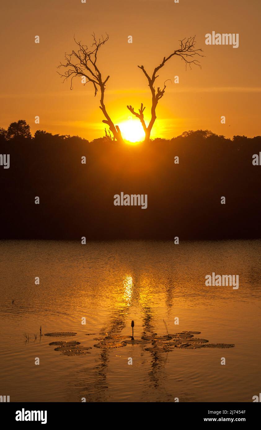 4k sunset hi-res stock photography and images - Alamy