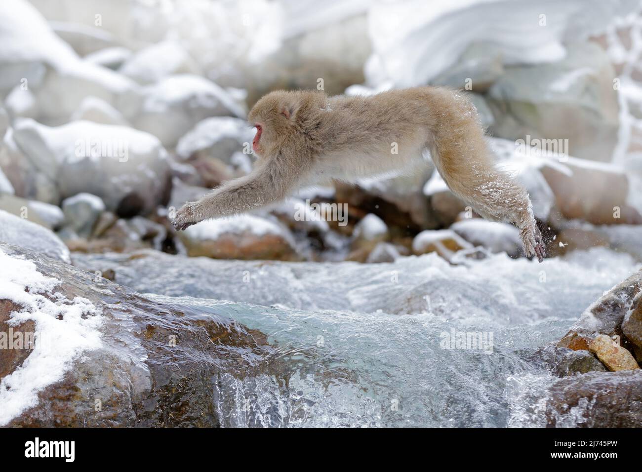 Jumping across asia hi-res stock photography and images - Alamy