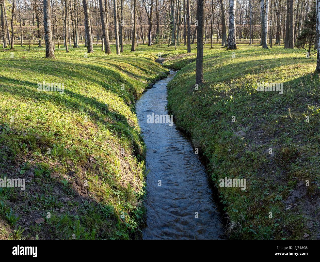 View of Stream in the green forest Stock Photo - Alamy