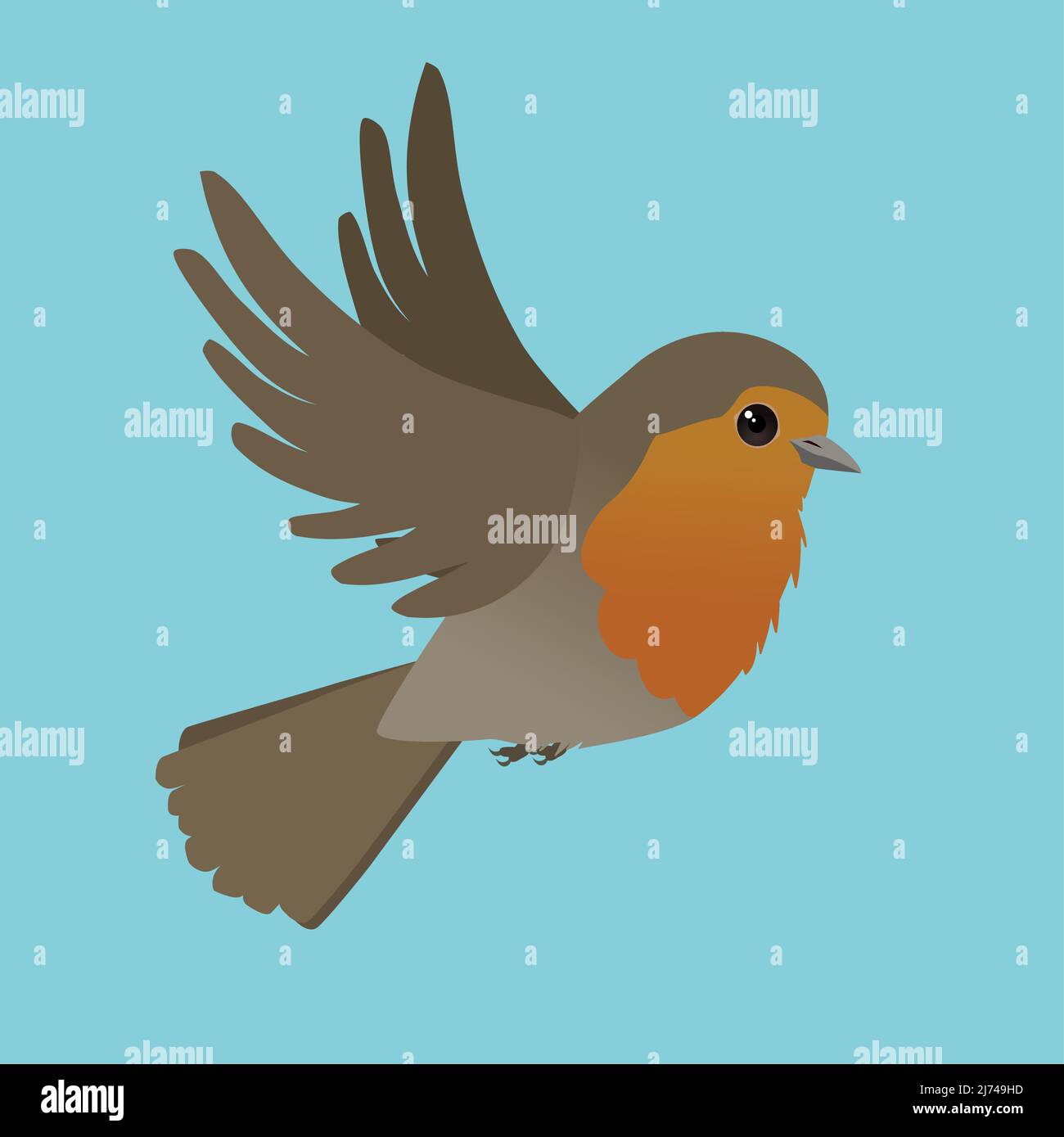 Tail flap Stock Vector Images - Alamy