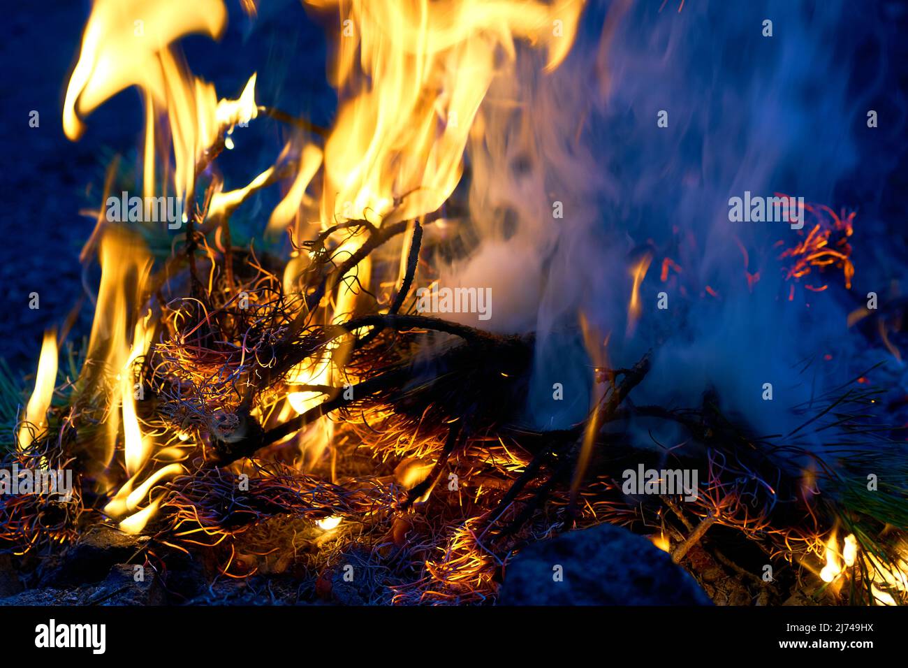 Bonfire and heat - burning flame. Forest fire Stock Photo - Alamy