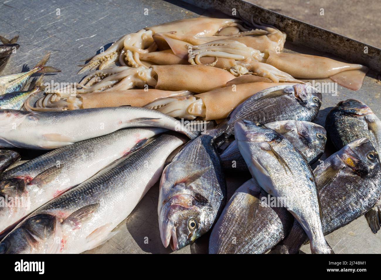 Fish market yemen hi-res stock photography and images - Alamy