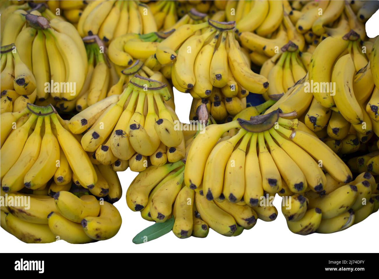 banana fruit close up, tropical fruit pattern, banana isolated Stock ...