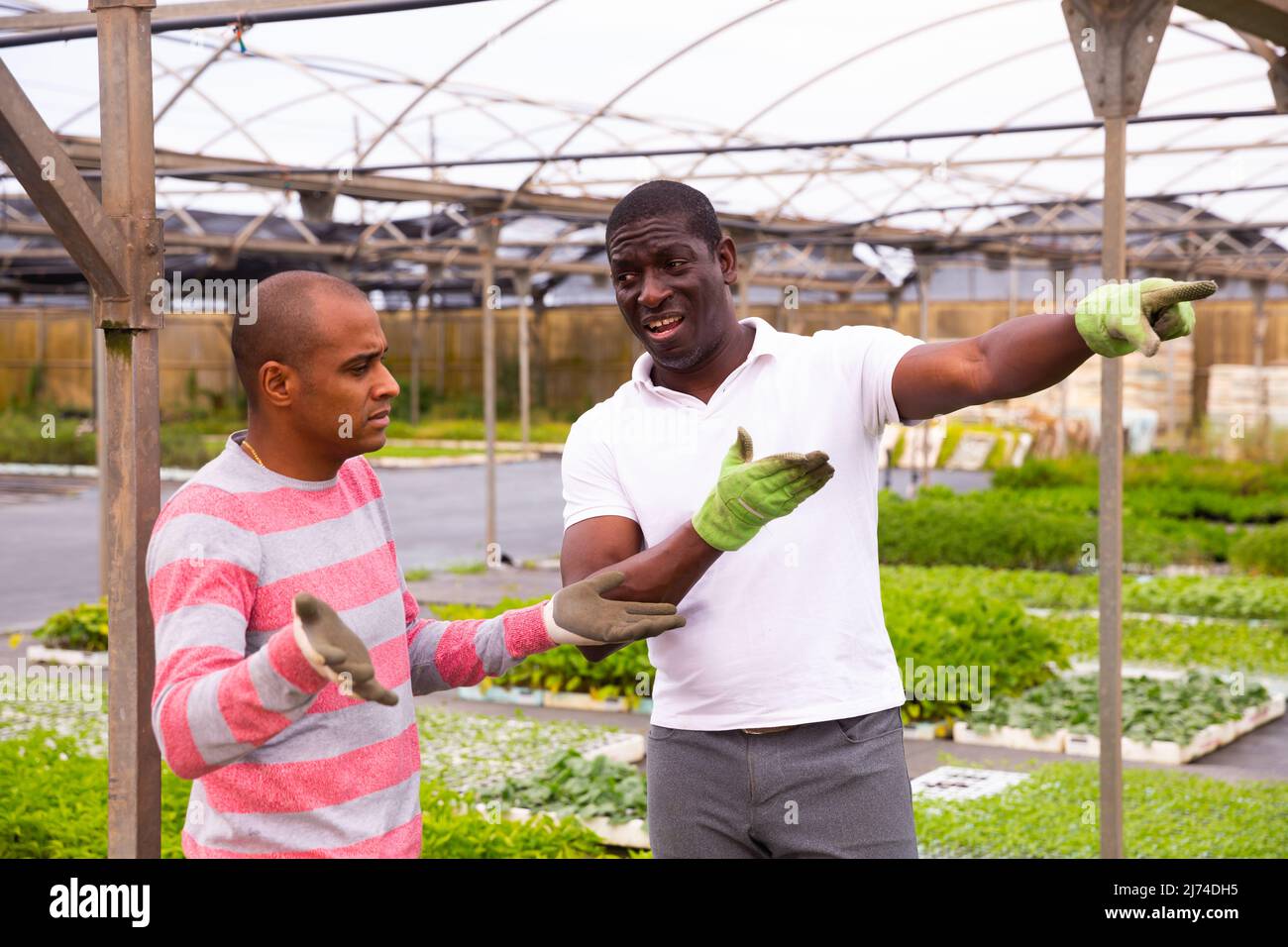 African and Latino men garden workers berating Stock Photo - Alamy