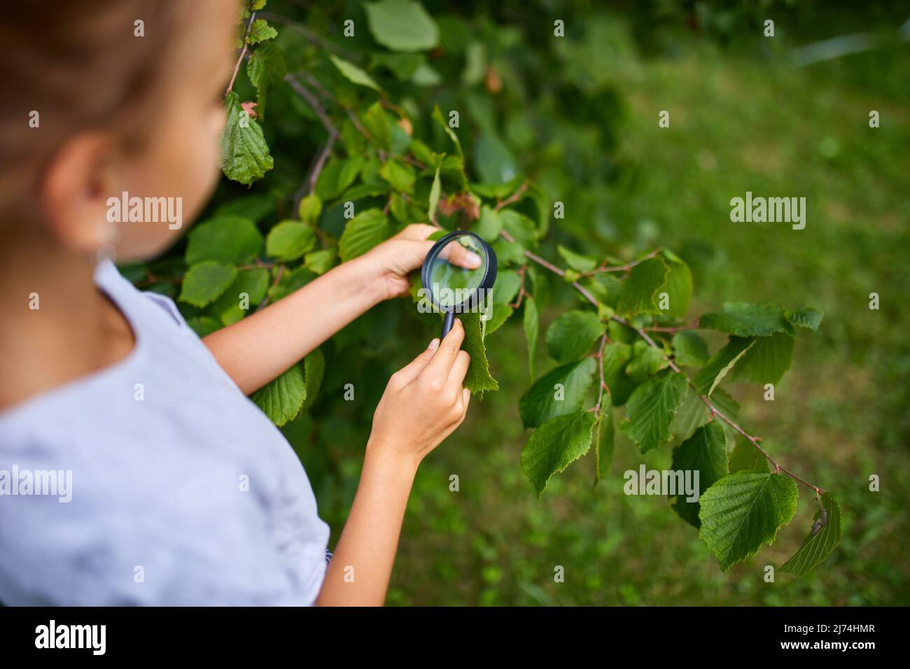 The hand of a child, little girl , holding and look through magnifying ...