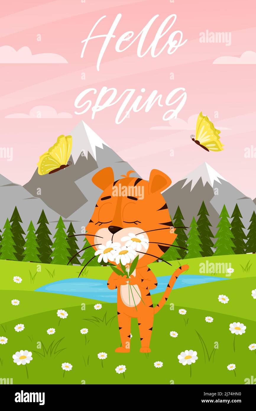 Cute cartoon tiger sniffs chamomile flowers on the background of summer ...