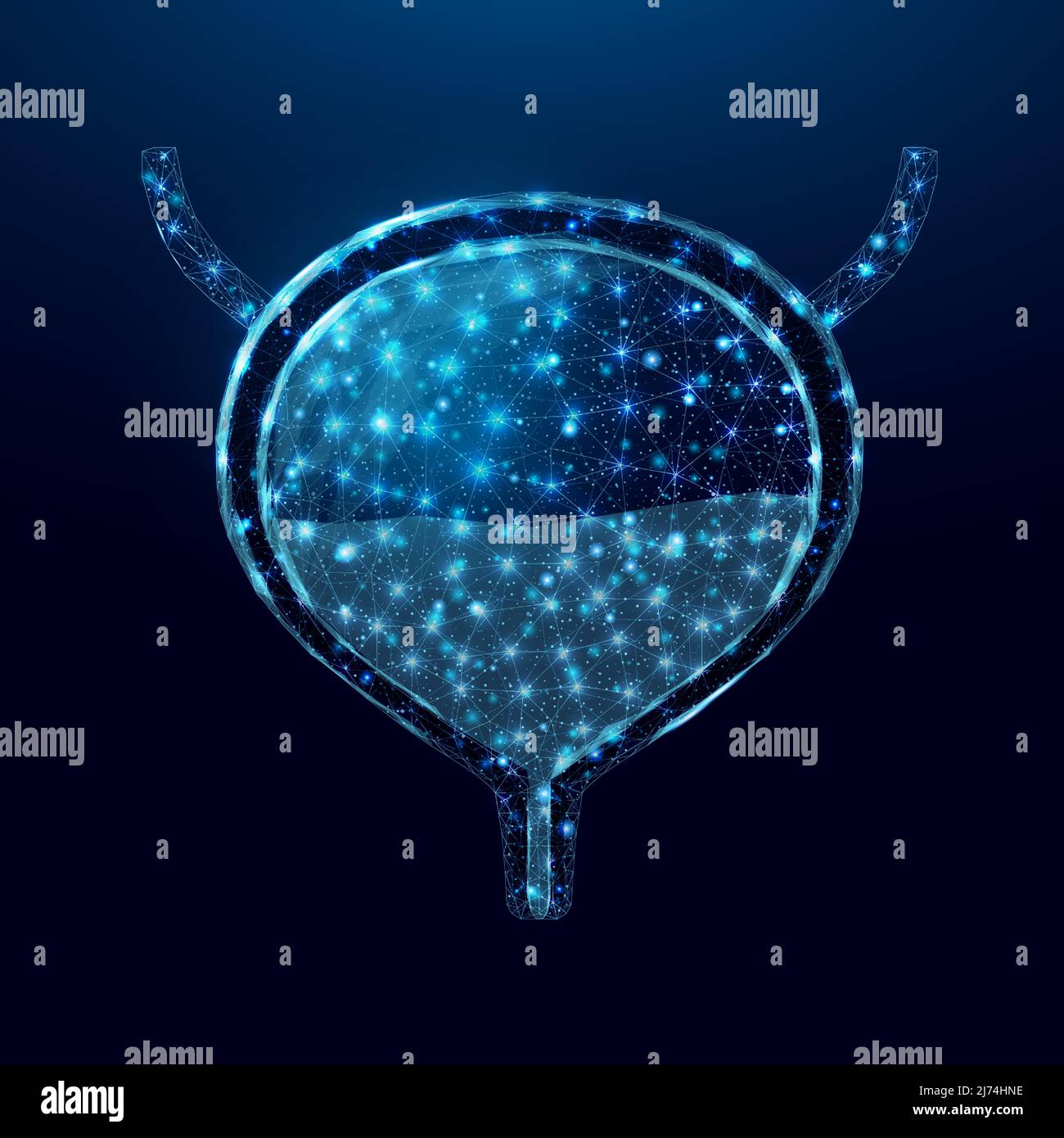 Human bladder. Design element for medical concept, bladder cancer ...