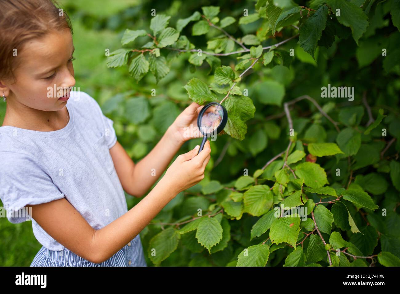 The hand of a child, little girl , holding and look through magnifying ...