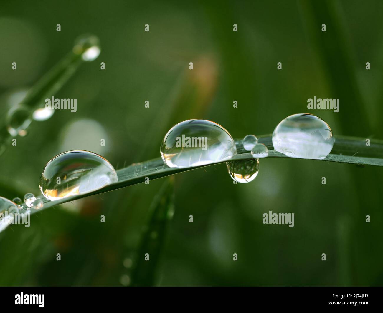Irrigation plan hi-res stock photography and images - Alamy