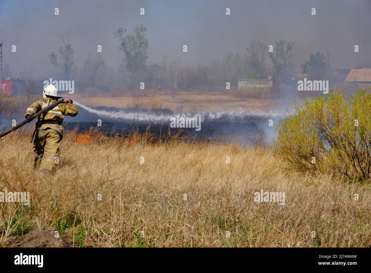 Firefighter extinguishes burning, dry grass from fire hose Stock Photo ...