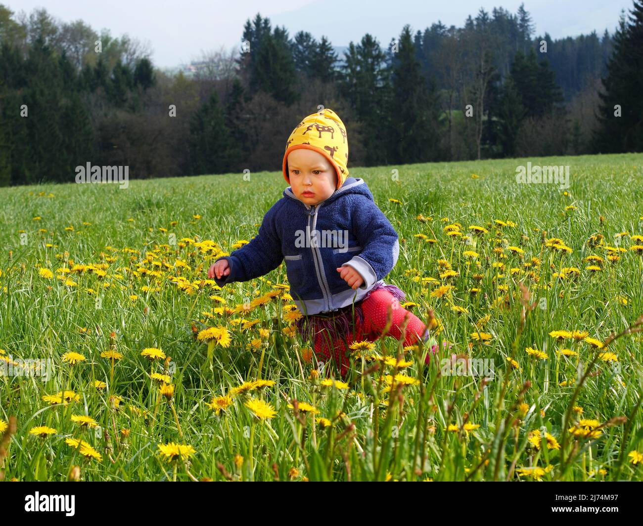 little girl running in flower meadow Stock Photo - Alamy