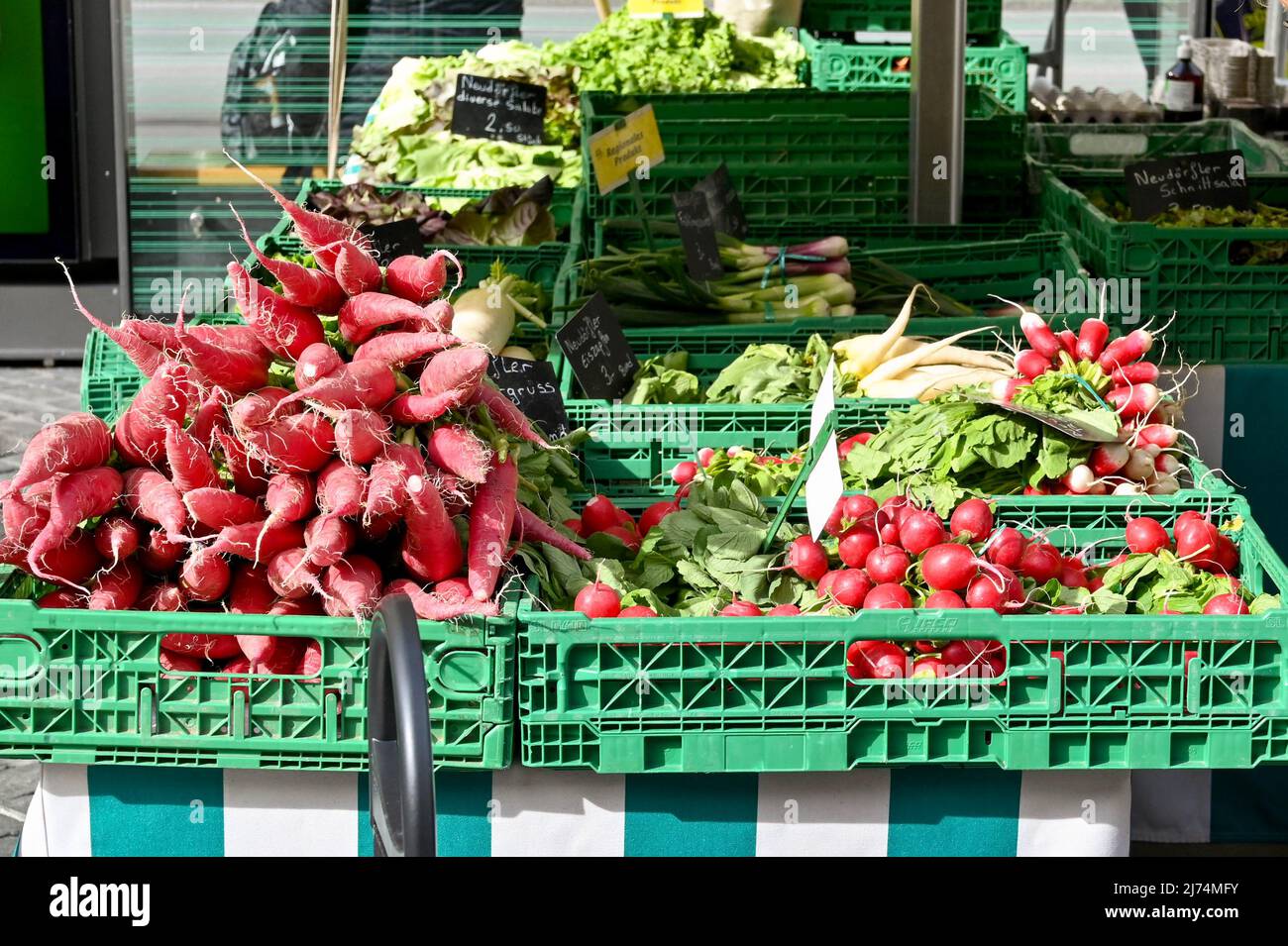 Radish on market basket hi-res stock photography and images - Alamy