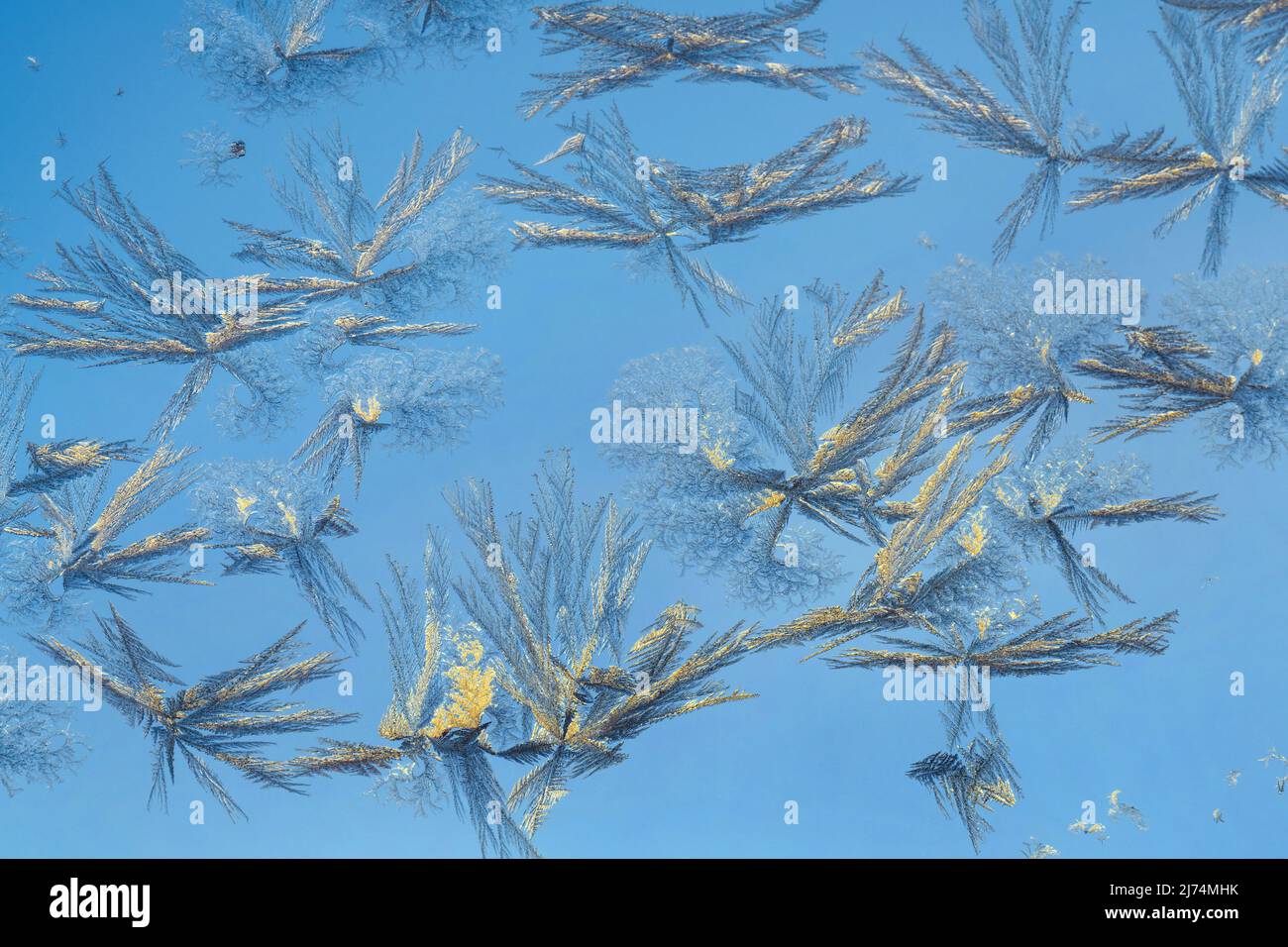 Fern frost at a window, Sweden, Oestersund Stock Photo - Alamy