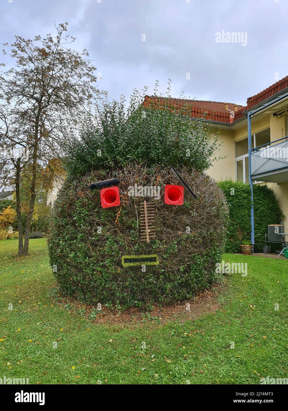 face in a bush, Germany Stock Photo - Alamy