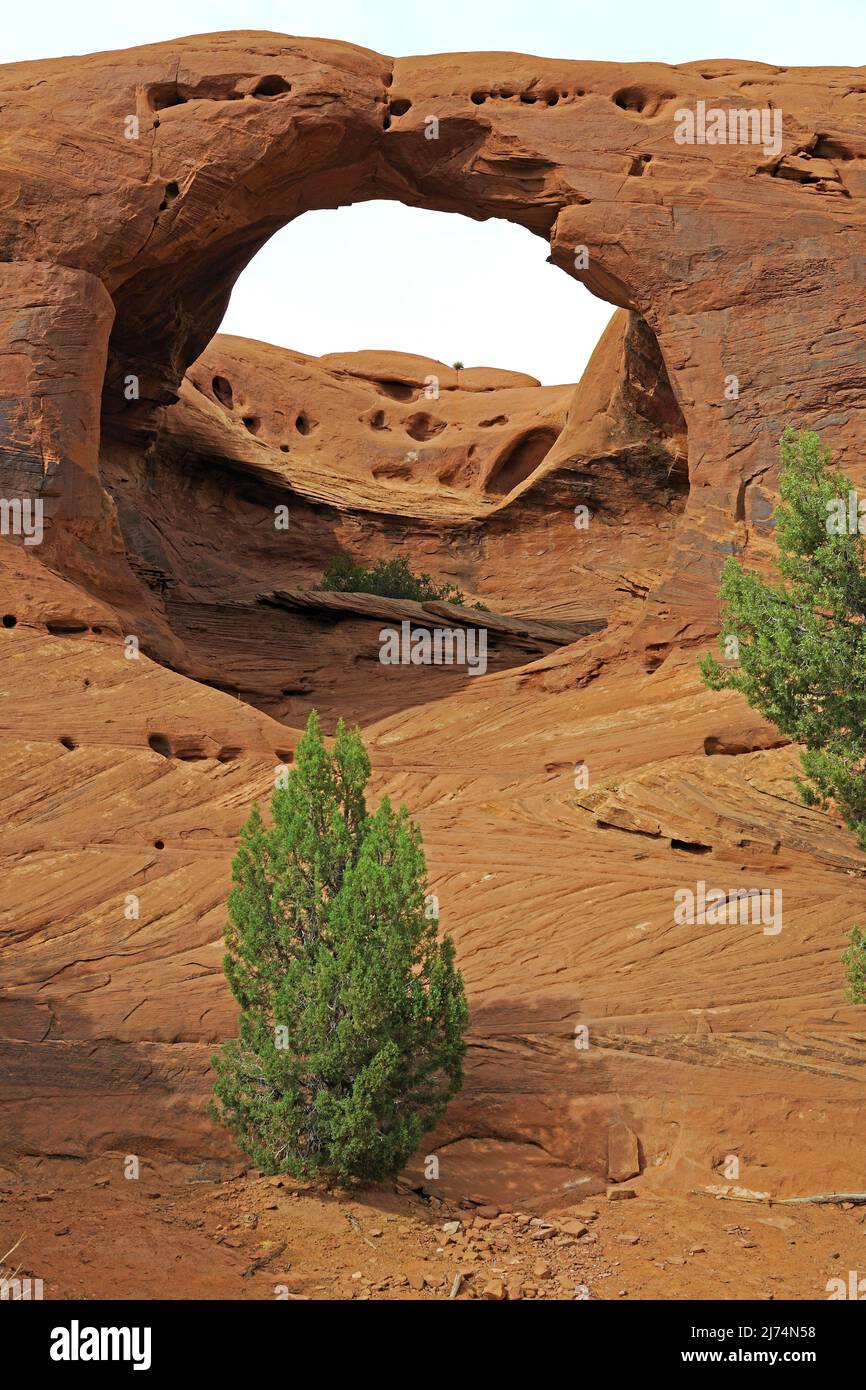 American mystery hi-res stock photography and images - Alamy