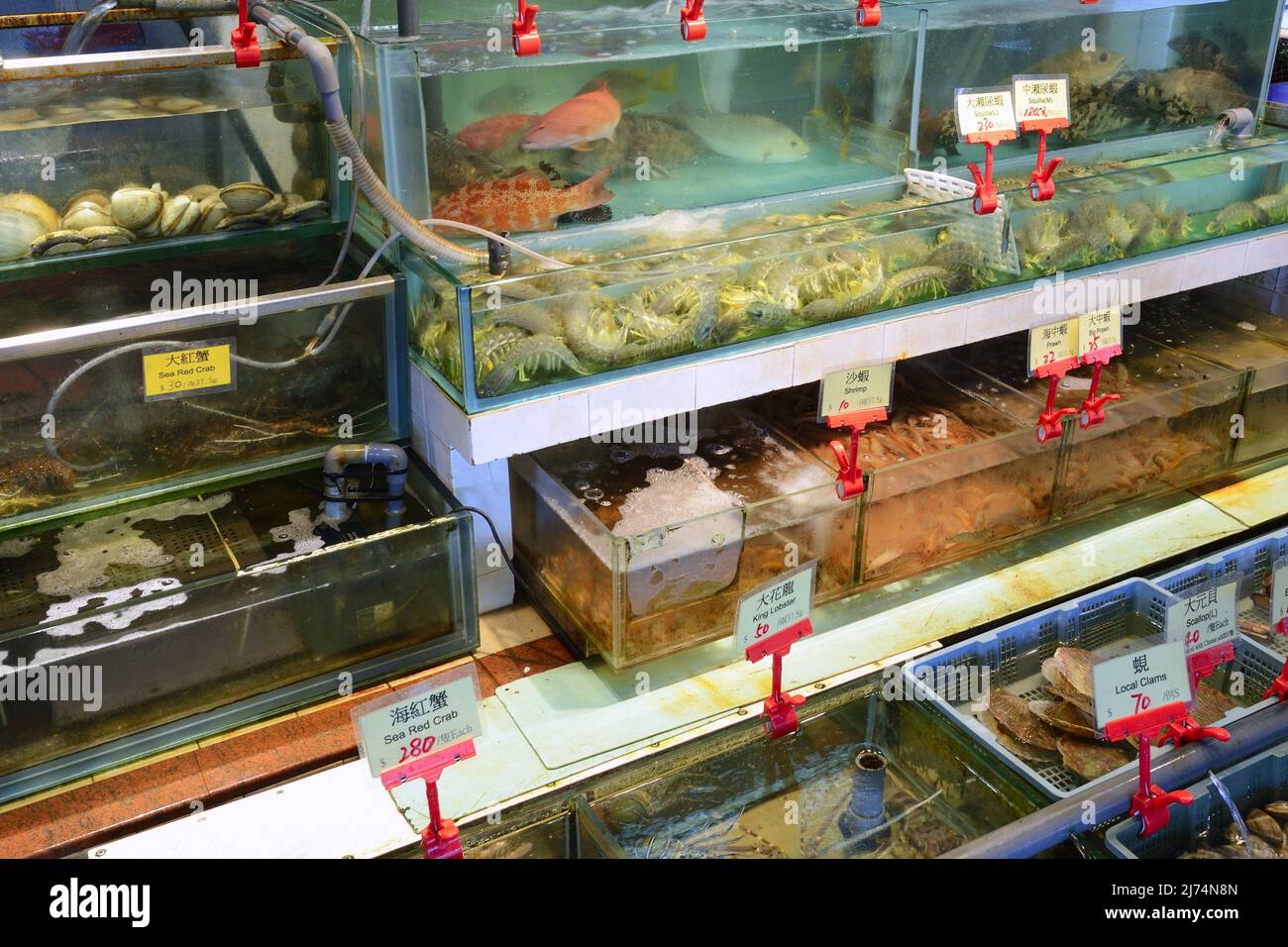 Fresh and still living seafood and fishes of the seafood restaurants of ...