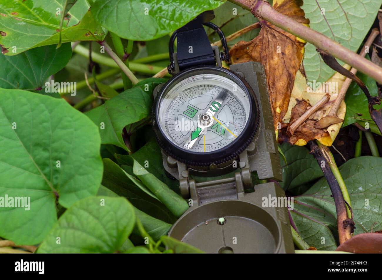 An green army magnetic compass on the leaves Stock Photo - Alamy