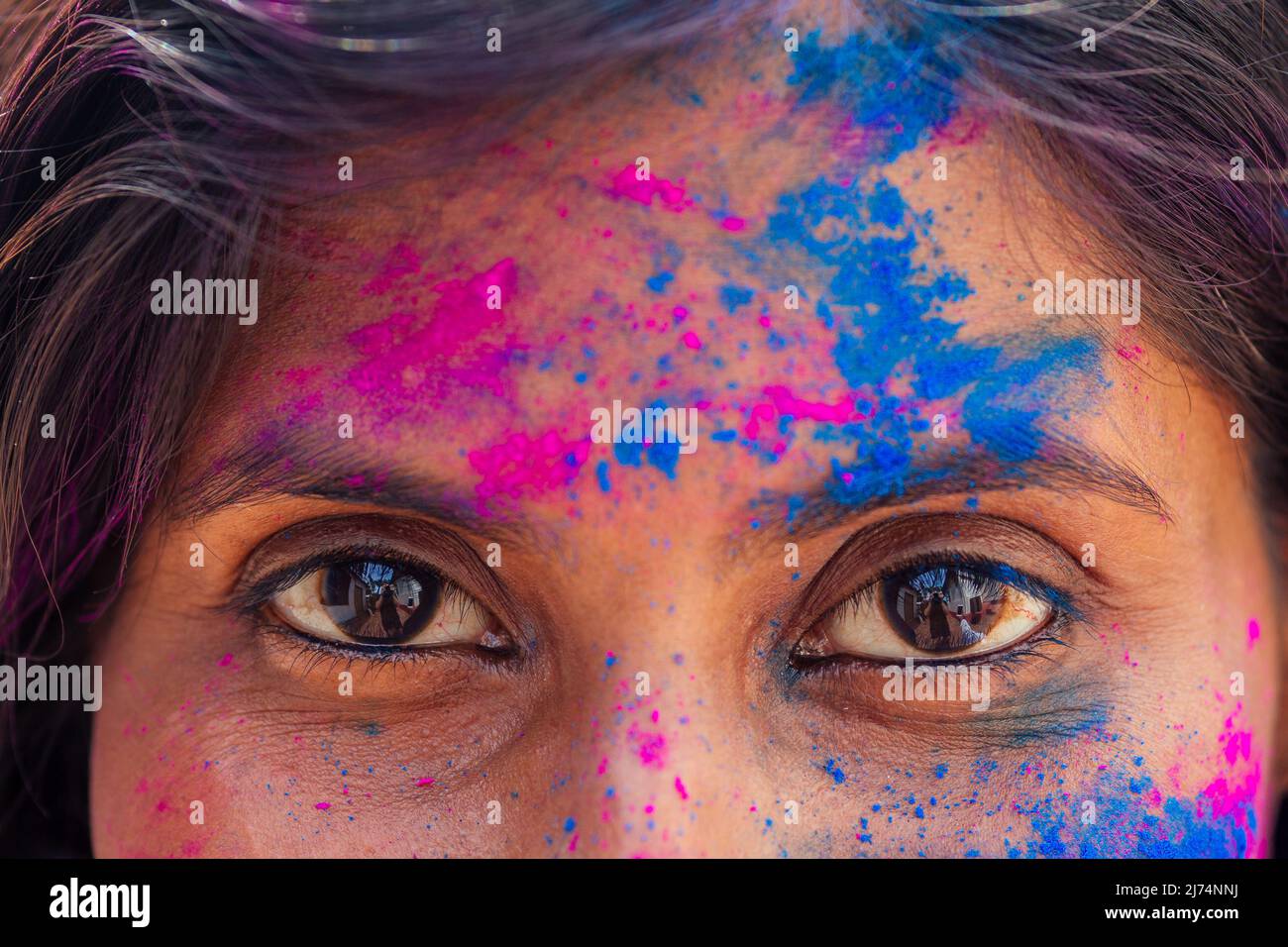 Holi Festival Of Colours. cropped portrait of happy indian girl in holi ...