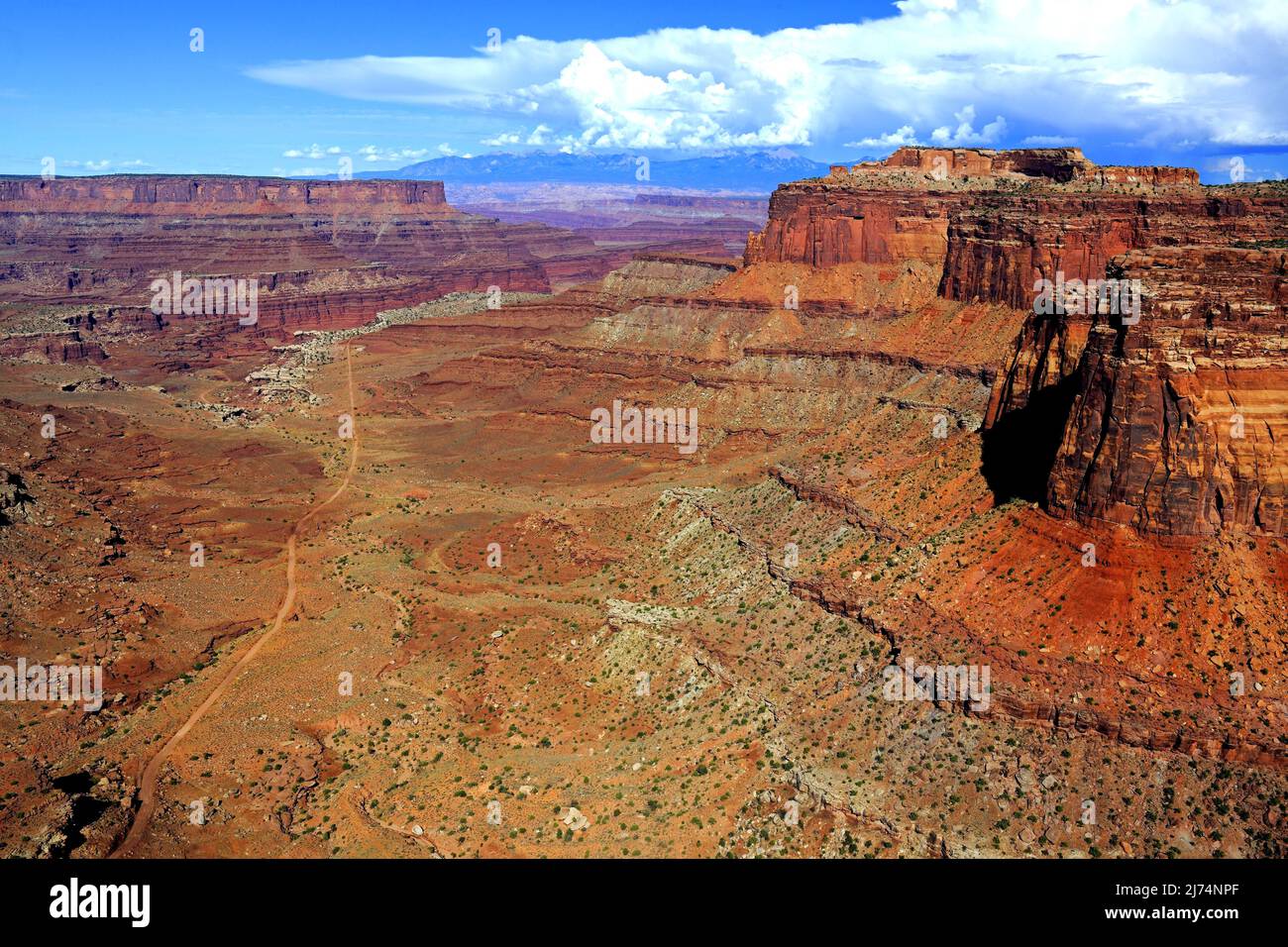 Shafer Canyon in evening light, USA, Utah, Canyonlands National Park ...