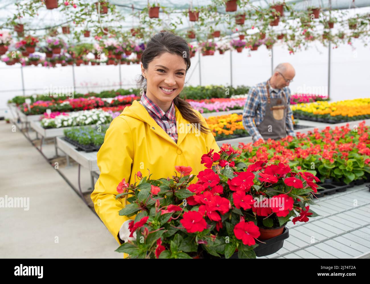 Pretty young woman wearing flower pot with beautiful red flowers in ...