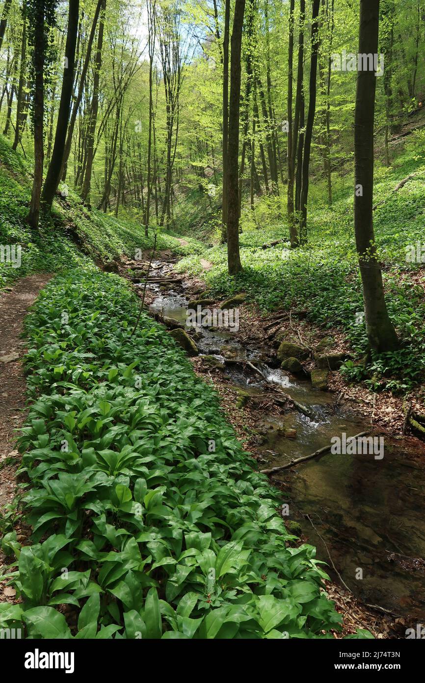 Mecsek hills hi-res stock photography and images - Alamy