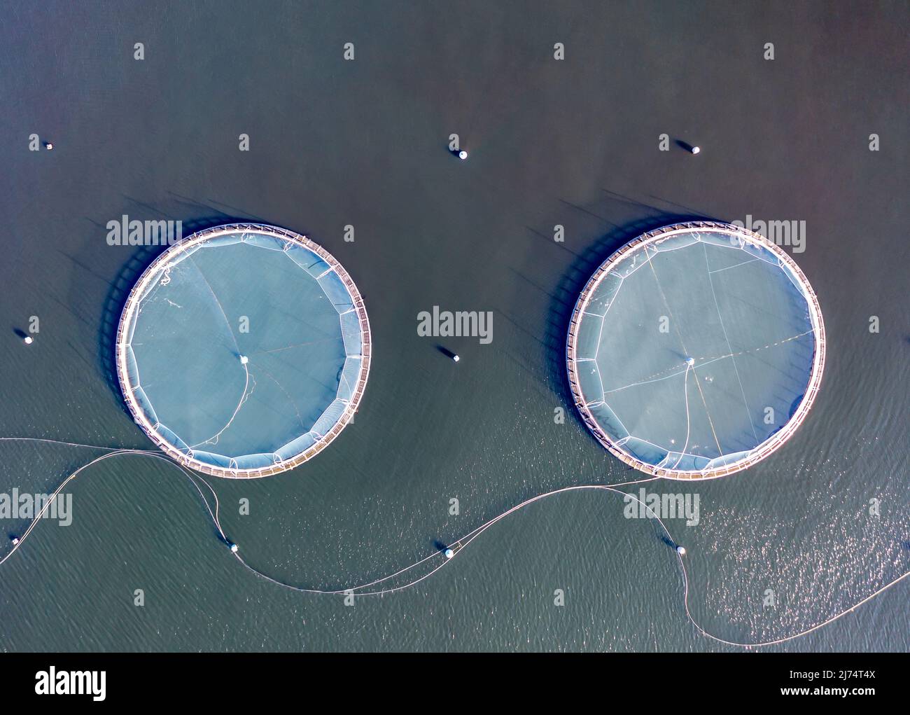 Fish donegal catch hi-res stock photography and images - Alamy