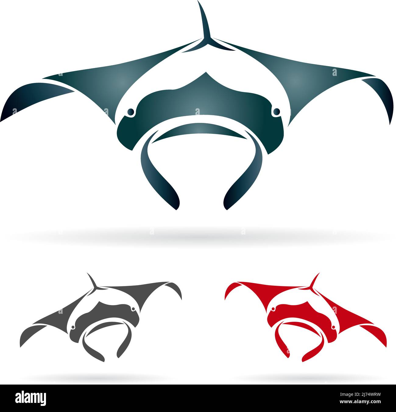 Vector image of stingray on white background. Animals Stock Vector ...