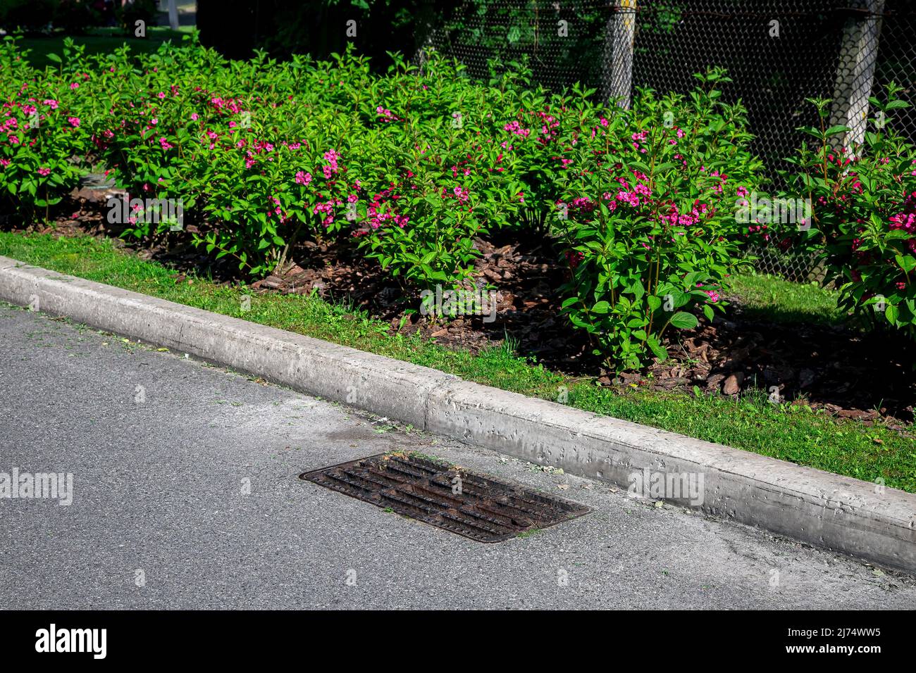 drainage manhole with a grate for rainwater on an asphalt road near a ...